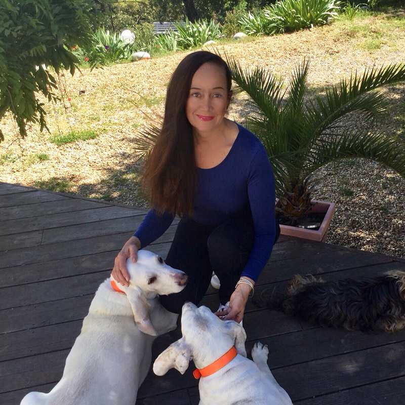 L’organisation et le fonctionnement de la SPA