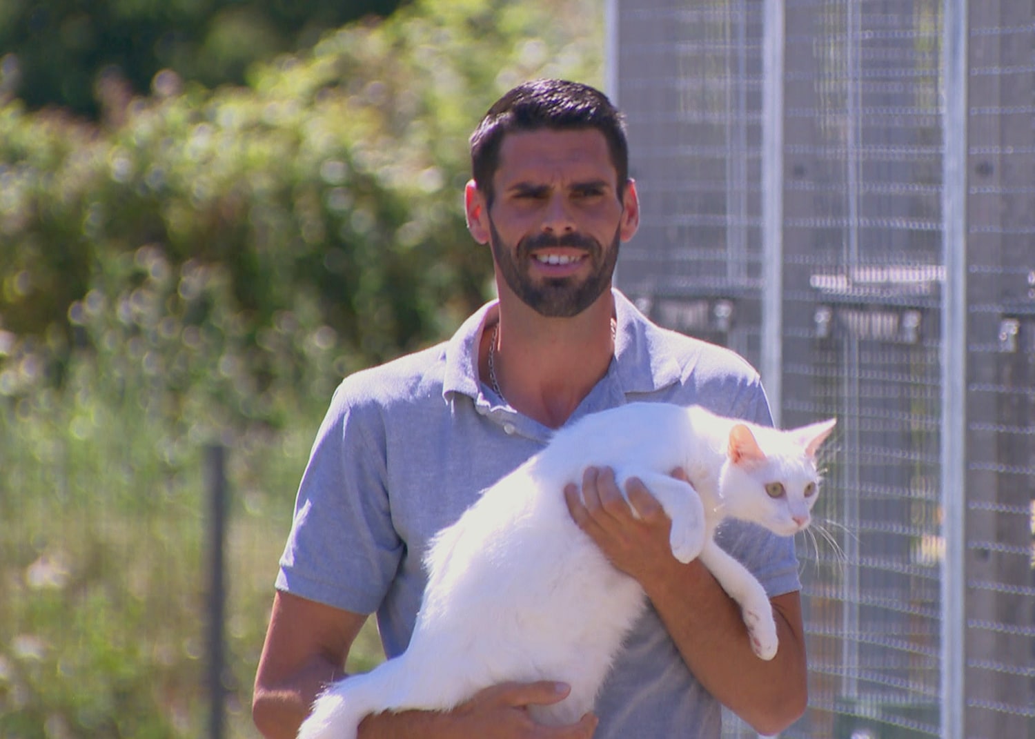 Nouvelle saison d'"Animaux à Adopter" sur C8 : suivez le quotidien des ...