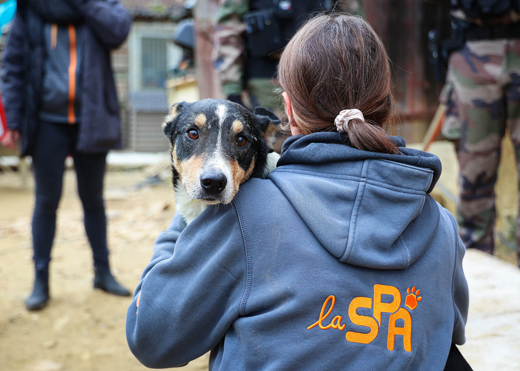 Sauvetage de 170 animaux dans les Landes - LA SPA