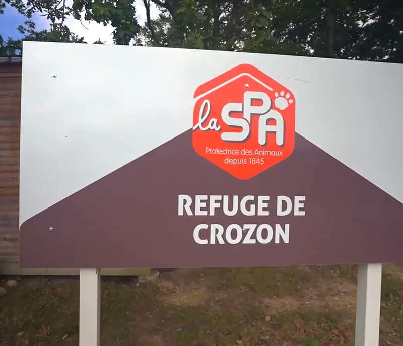 Refuge SPA de Crozon – 29 – Finistère – Adoption
