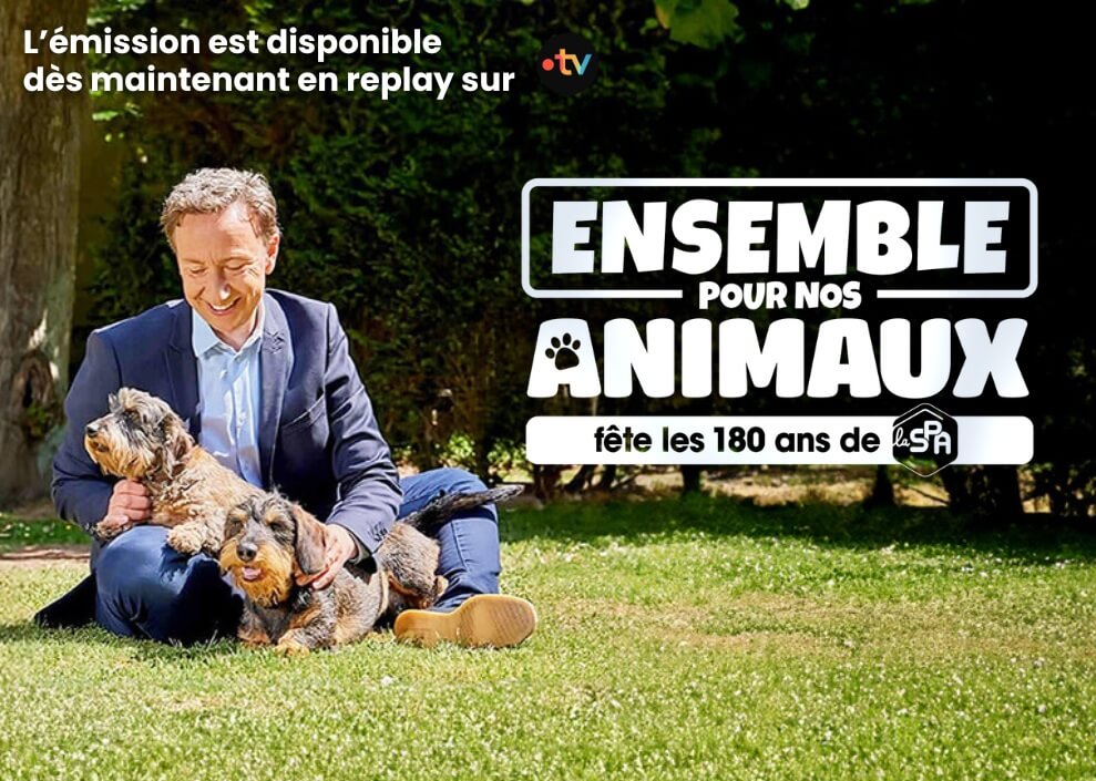 La Société Protectrice des Animaux (SPA) et ses refuges pour animaux