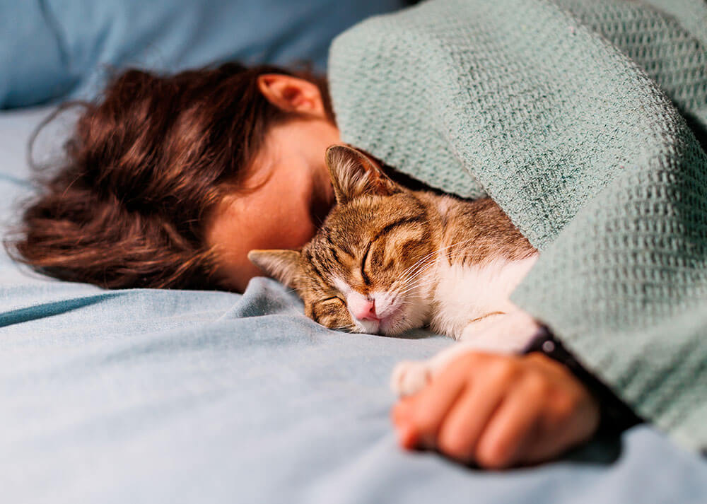 Dormir avec son chat, bienfaits et inconvénients