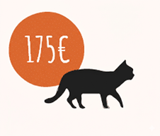 Adopter NUBA, Chien - La SPA - Refuge de Luynes – Tours