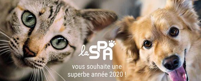 Société Protectrice Des Animaux Chatelaillon – BYOFB
