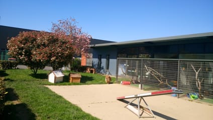 Refuge SPA de Rennes – 35 – Ille-et-Vilaine – Adoption