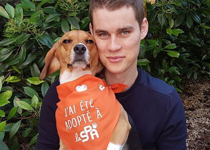 Adopter à la SPA | Société Protectrice des Animaux