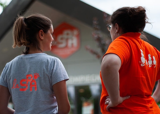 L’organisation et le fonctionnement de la SPA