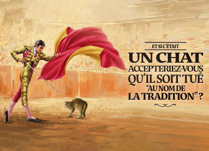 Agir pour l'abolition de la corrida en France - Signez la pétition | La SPA