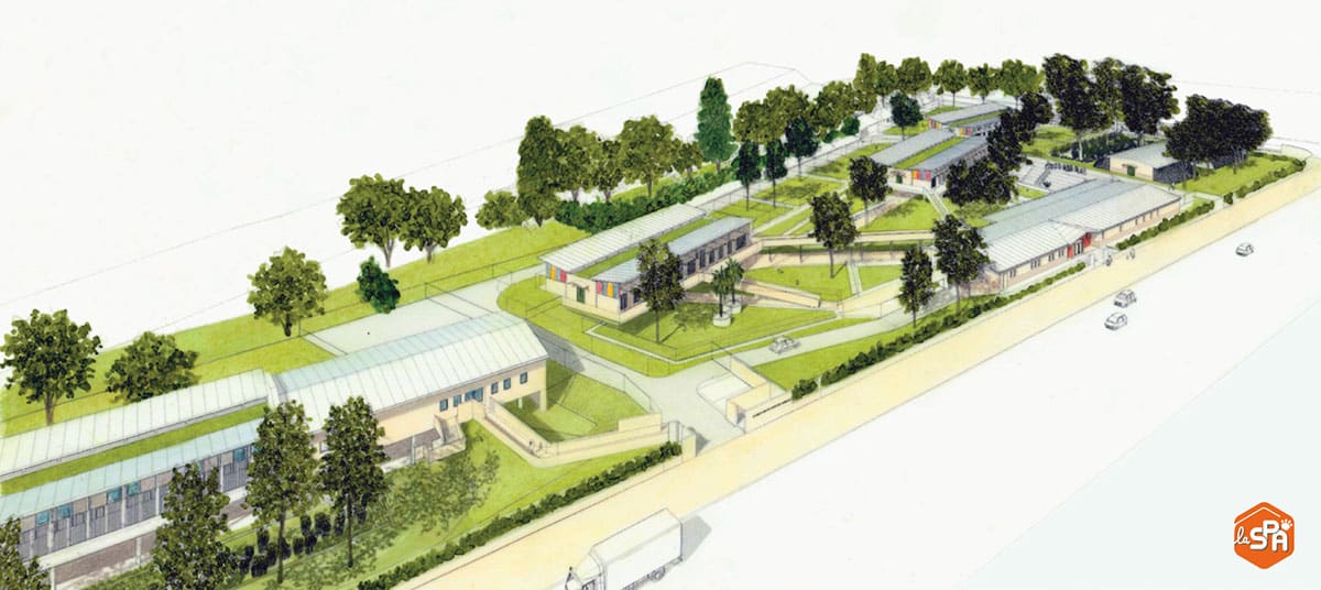 Refuge SPA de Gennevilliers : un nouveau site tourné vers l'avenir du ...