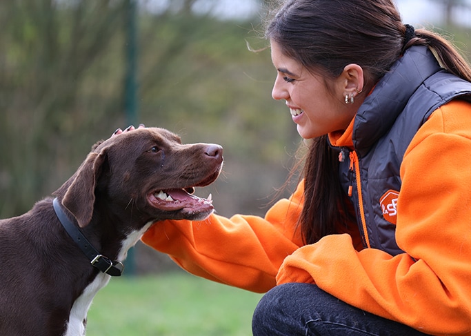 Adopter à la SPA | Société Protectrice des Animaux