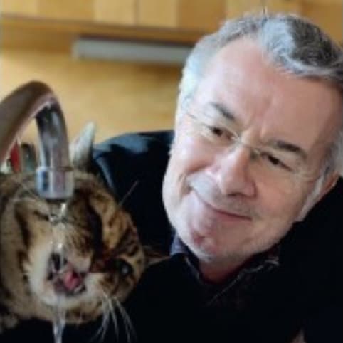 L’organisation et le fonctionnement de la SPA