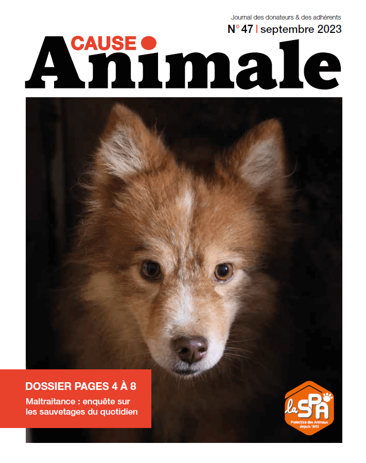 Découvrir le journal cause animale de septembre 2023 - LA SPA