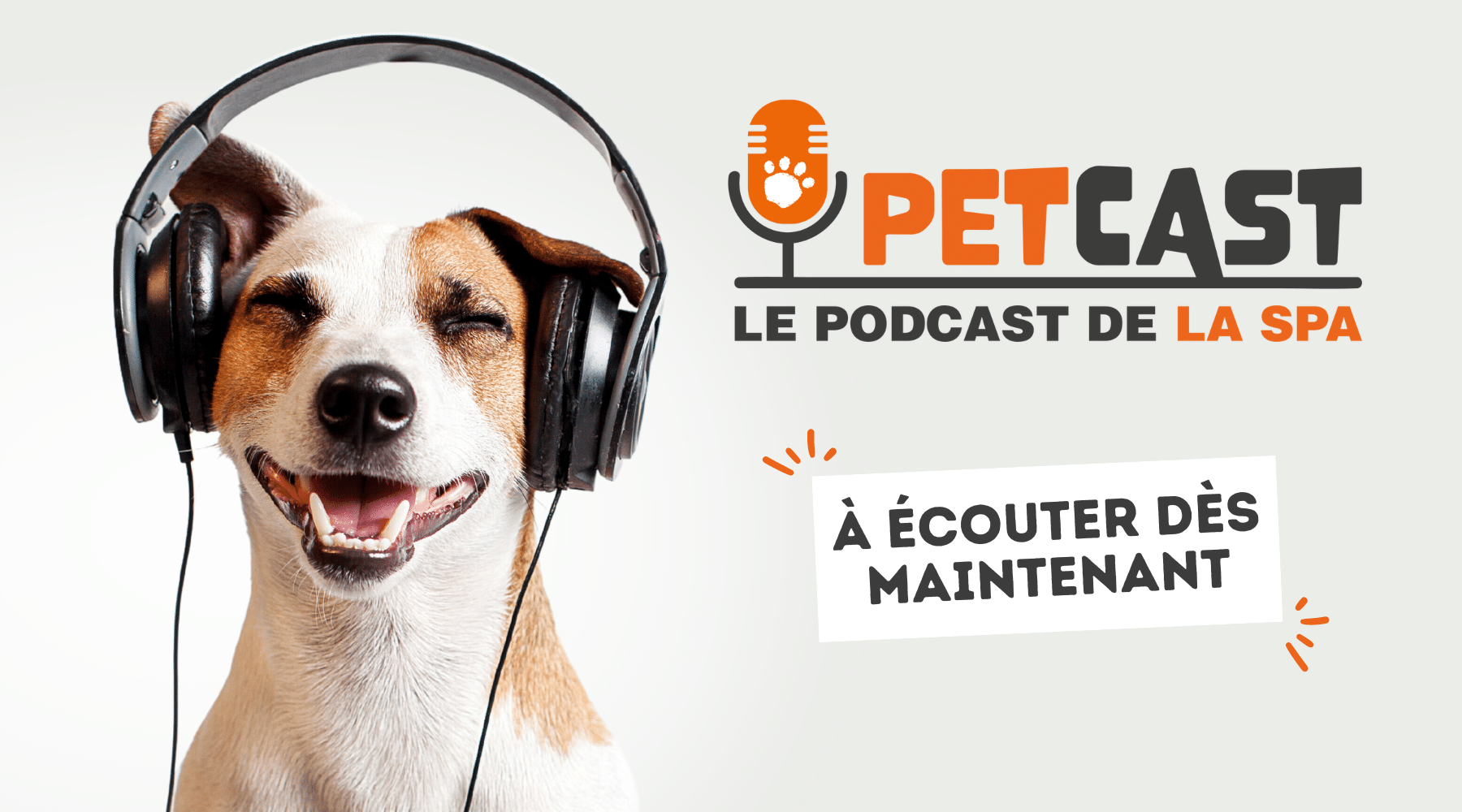 La Société Protectrice des Animaux (SPA) et ses refuges pour animaux