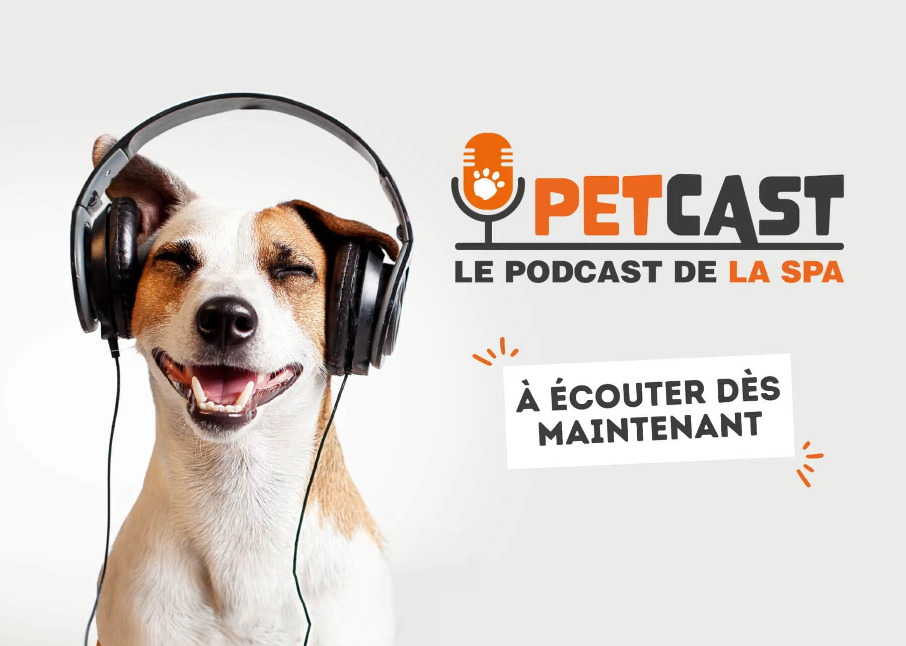 La Société Protectrice des Animaux (SPA) et ses refuges pour animaux